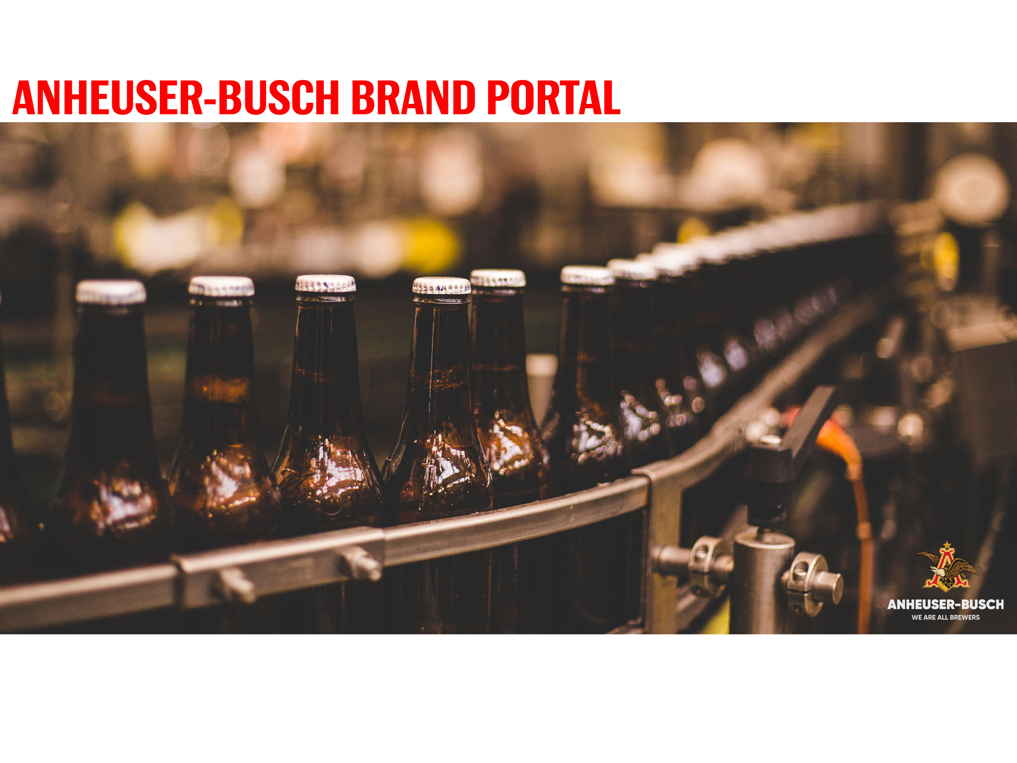 AEM Assets Brand Portal